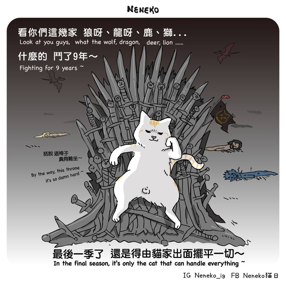 窗外到底有什好瞧的？發出「GaGaGa」...原來在喵星人眼中不單純！ 網笑噴：找到答案了！