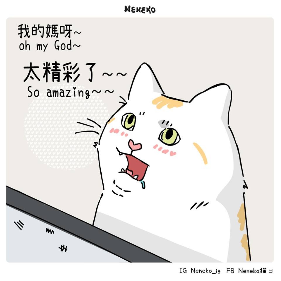 窗外到底有什好瞧的？發出「GaGaGa」...原來在喵星人眼中不單純！ 網笑噴：找到答案了！