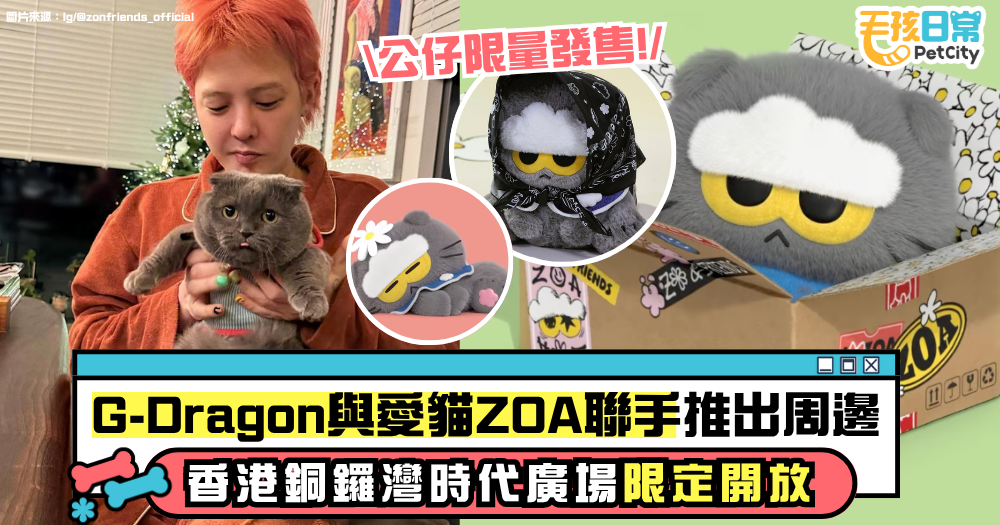 G-Dragon聯名《ZO&FRIENDS》周邊商品 銅鑼灣快閃店開放