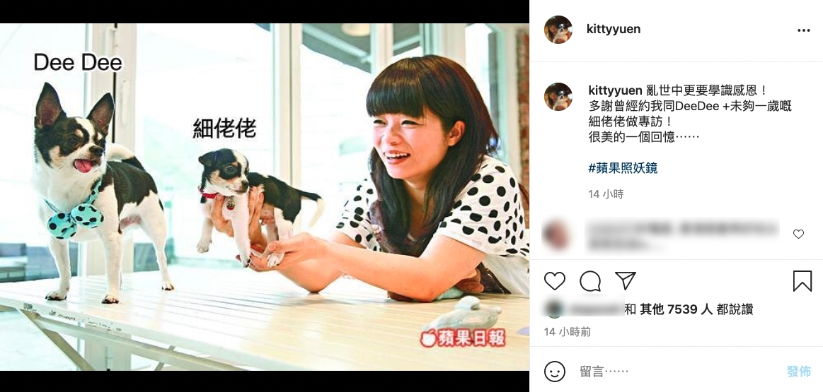 蘋果日報, 蘋果照妖鏡, 蘋果照妖鏡都市傳說, 蘋果停刊