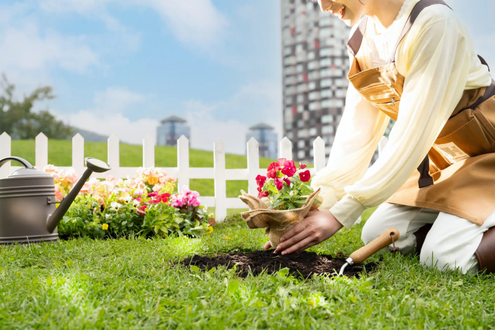 北海道星野TOMAMU 4.26換新春季裝飾！巨型花卉、歎櫻花糰子！